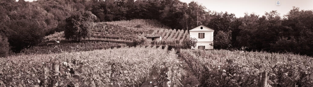 Le Piane – Vinity Wine Company