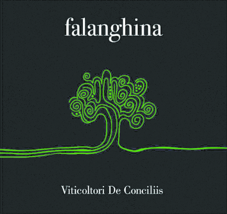 Falanghina – Vinity Wine Company
