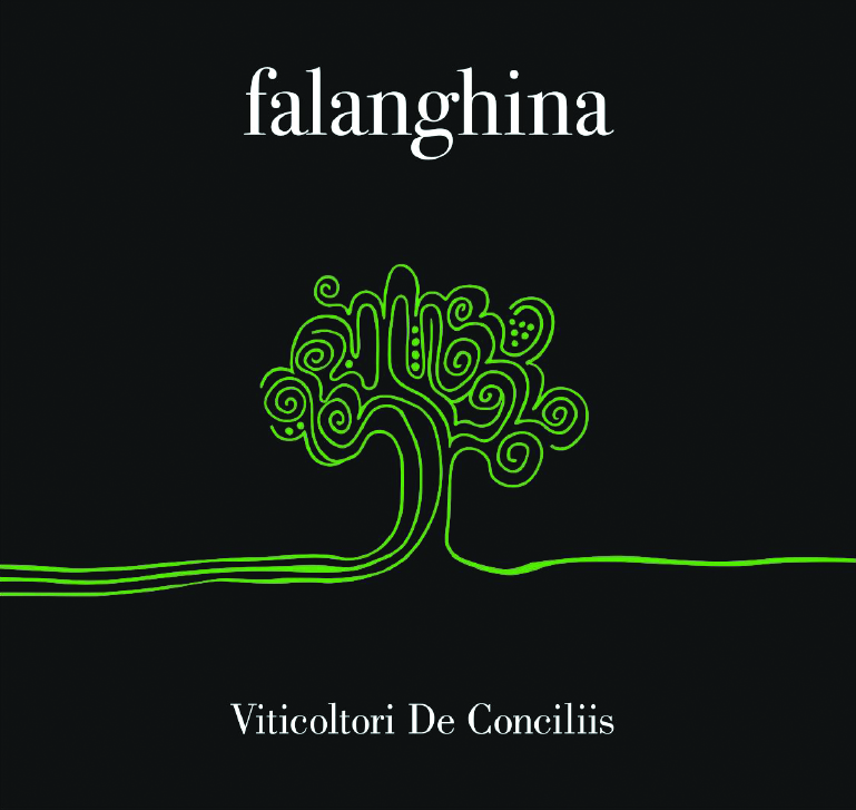Falanghina – Vinity Wine Company